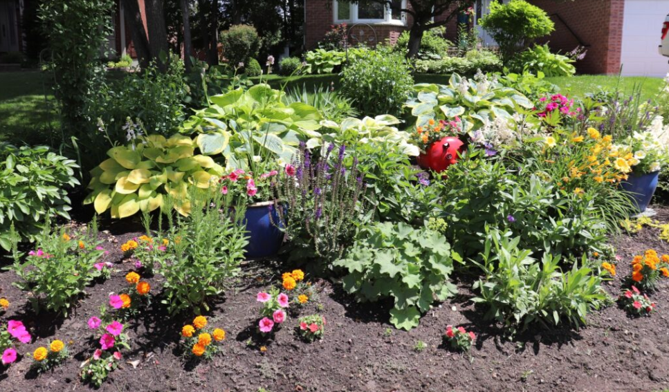 Clean, Green, Beautiful launches Streetscapes 2025