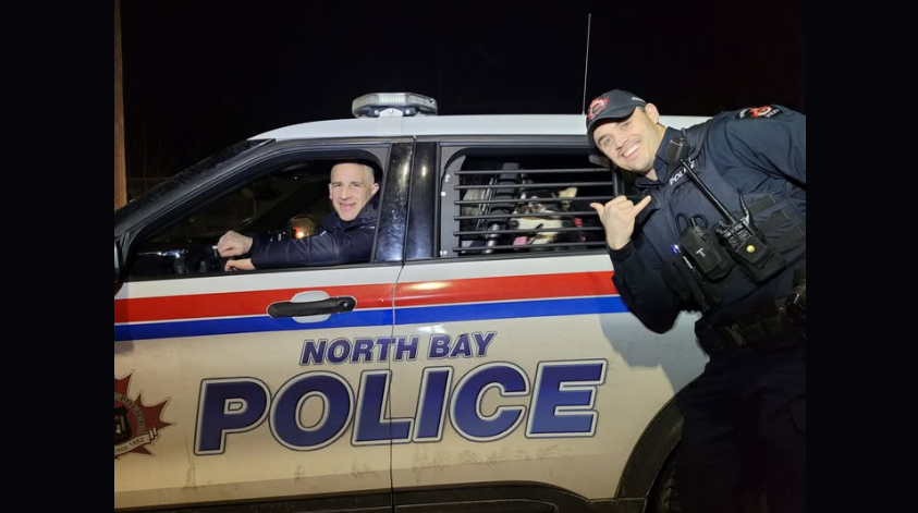 North Bay News - Ruff Night for North Bay Police