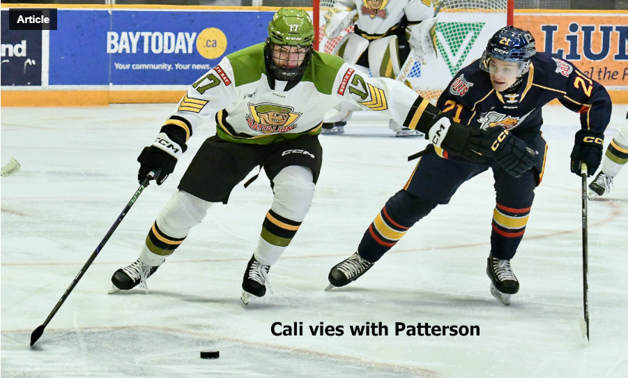 North Bay News - Wakely nets two in return