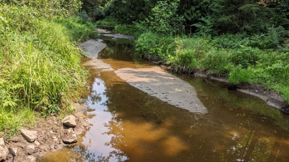 Area residents asked to reduce water consumption