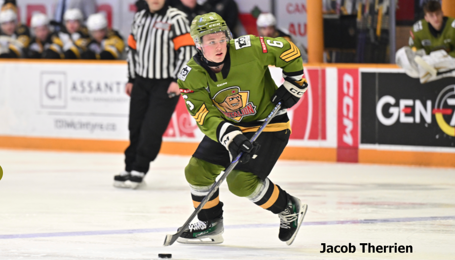 North Bay Sports - Therrien dealt for picks