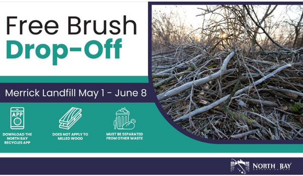 Free Brush Drop Off